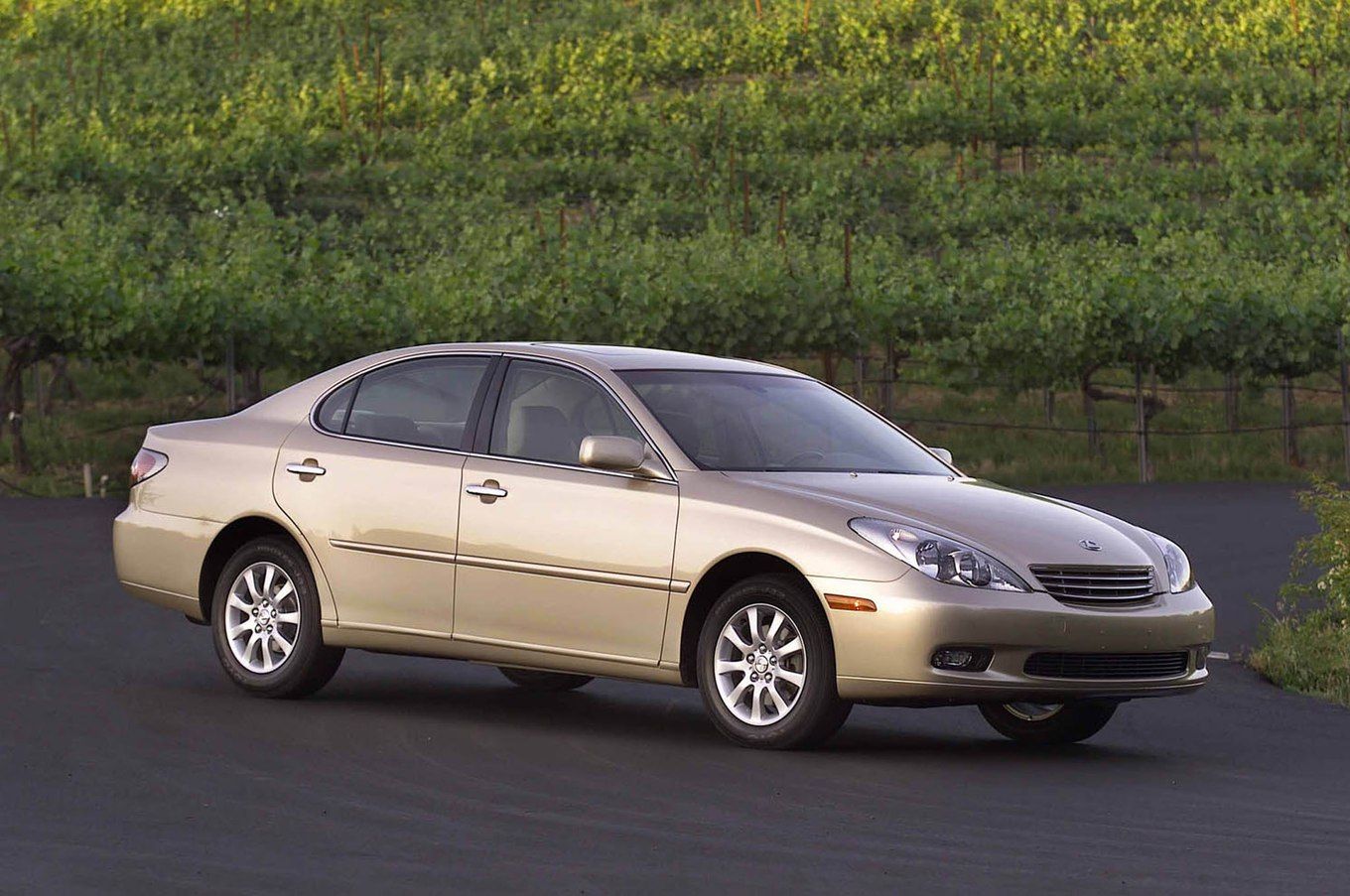 25 Used Cars Of The 00s That Are Cheap And Worth Every Dollar
