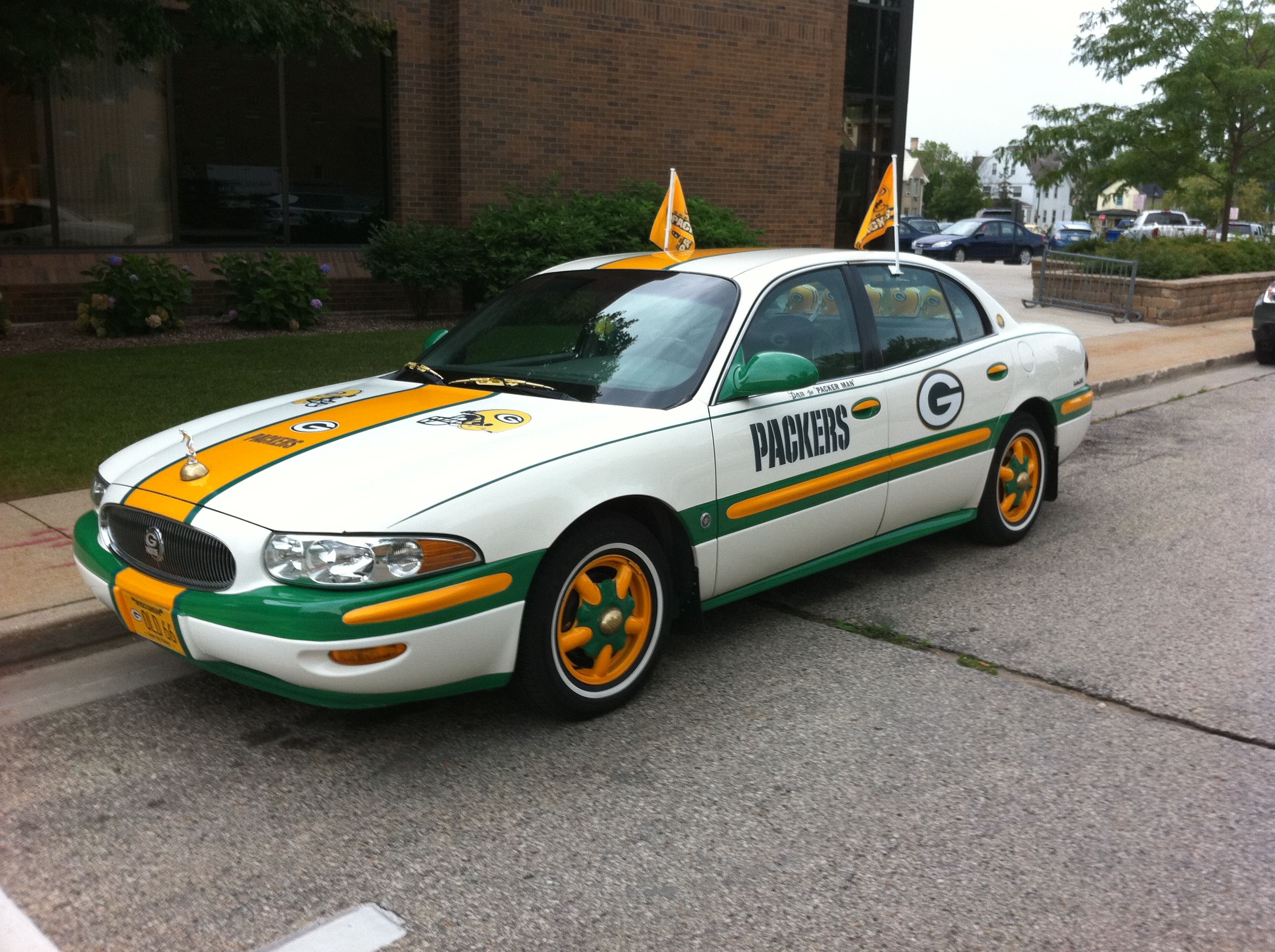 20 NFL Fans Who Went Too Far With Their Car Wraps