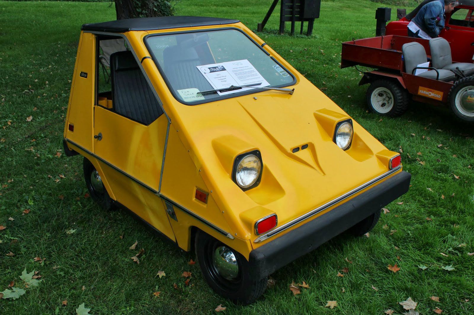 18 Weird Cars No One's Ever Heard Of