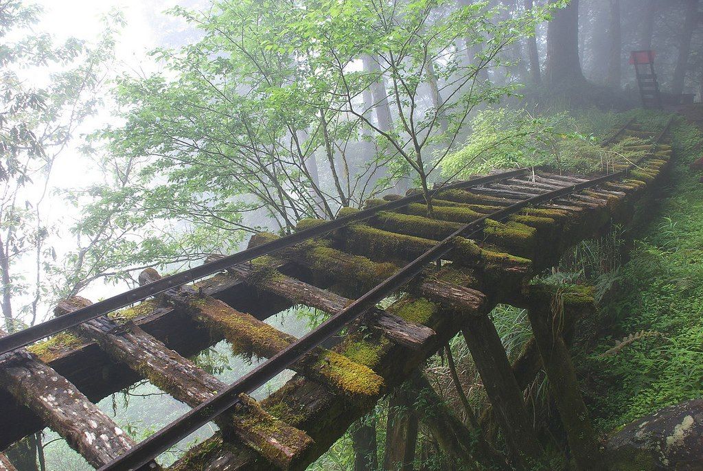 22 Mysterious Photos Of Forgotten Bridges Around The World