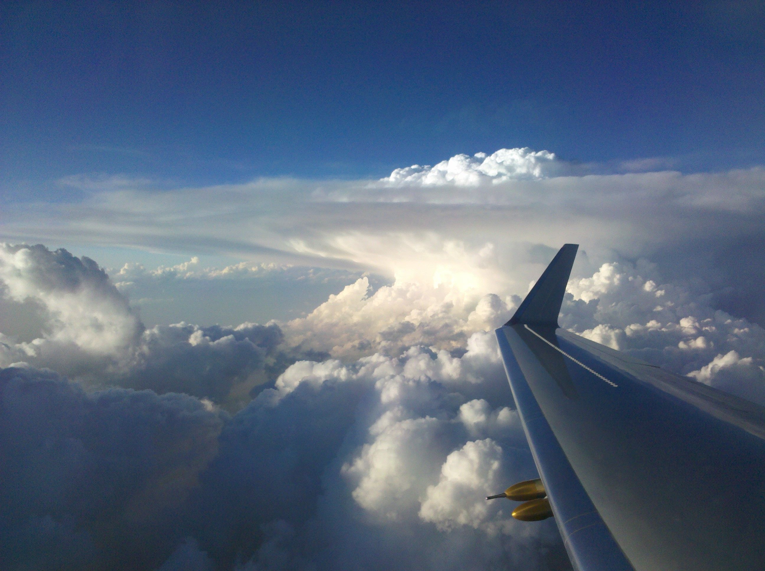 20 Bizarre Airline Stories That Would Make People Think Twice About Flying