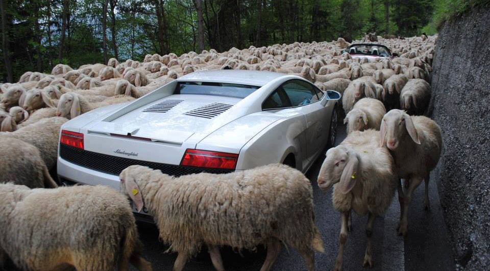17 Photos Of Expensive Cars That Were Caught In Embarrassing Situations