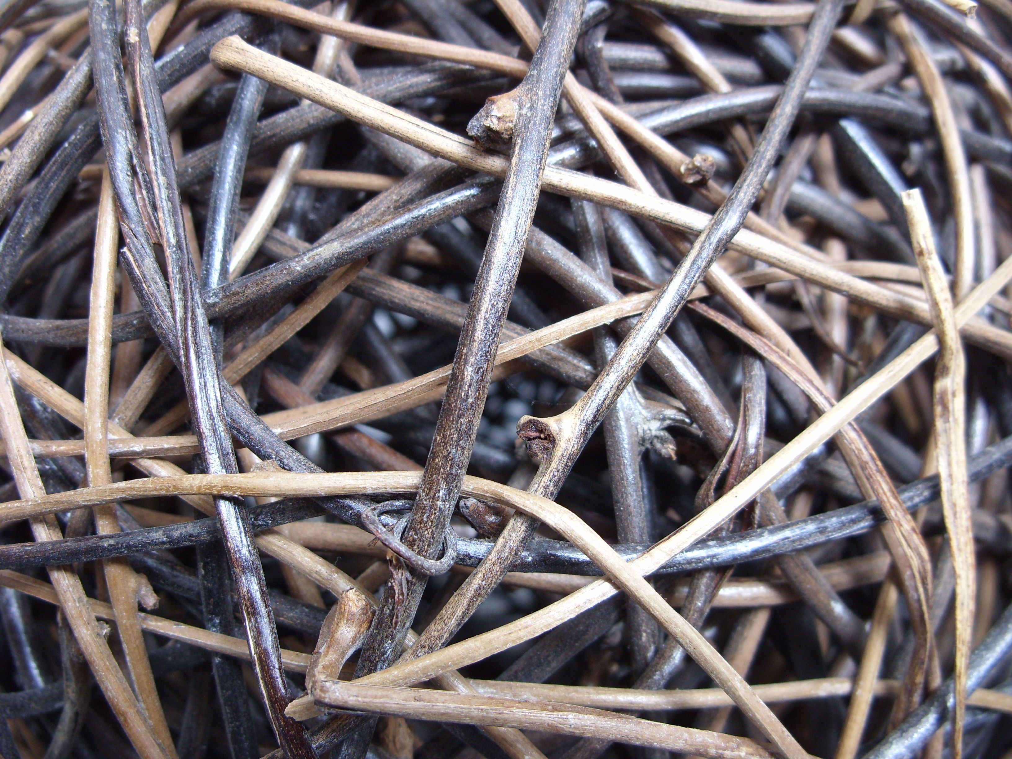 19 Most Ridiculous Things People Found Inside Car Tires