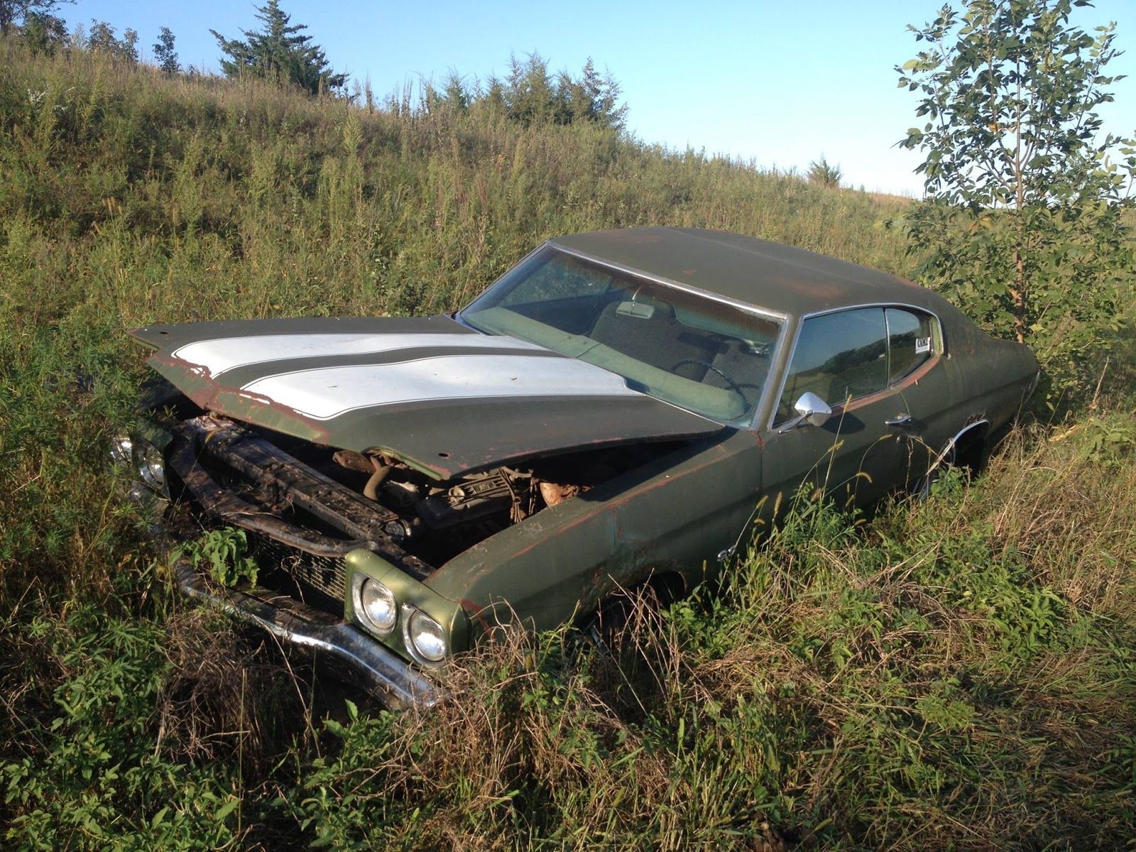 19 Photos Of Muscle Cars The World Forgot