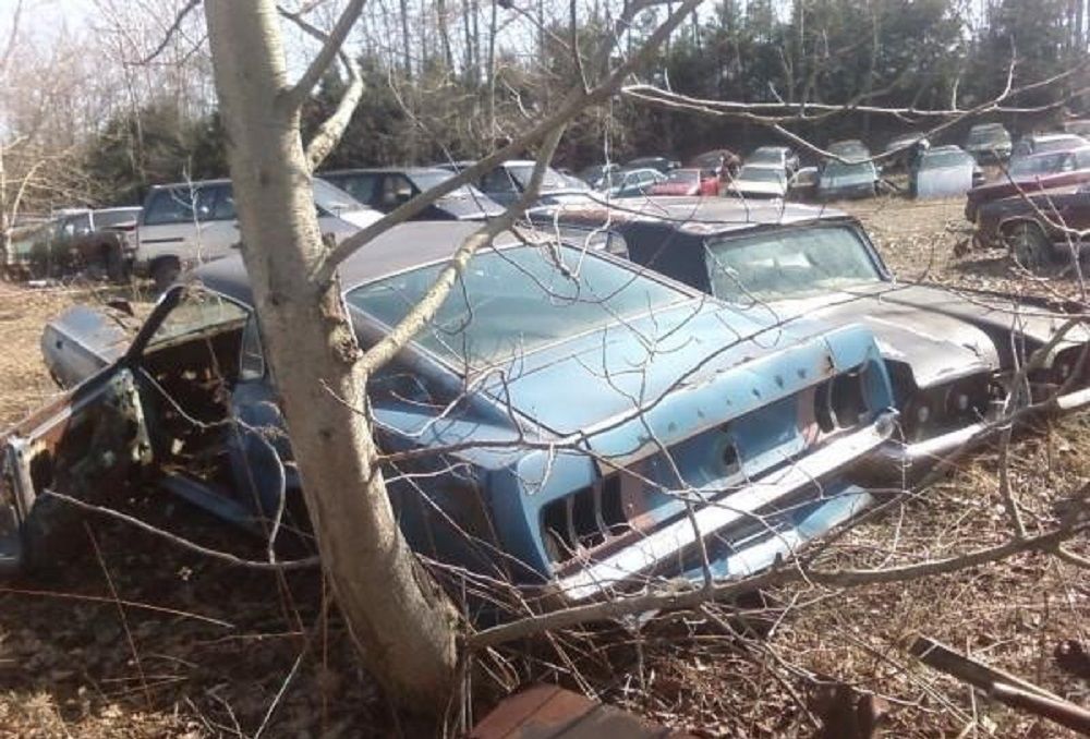 19 Photos Of Muscle Cars The World Forgot