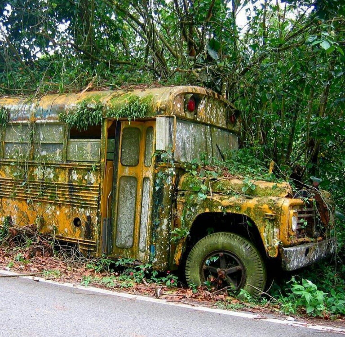 20 Rusted Out Cars That Could Have Been Saved