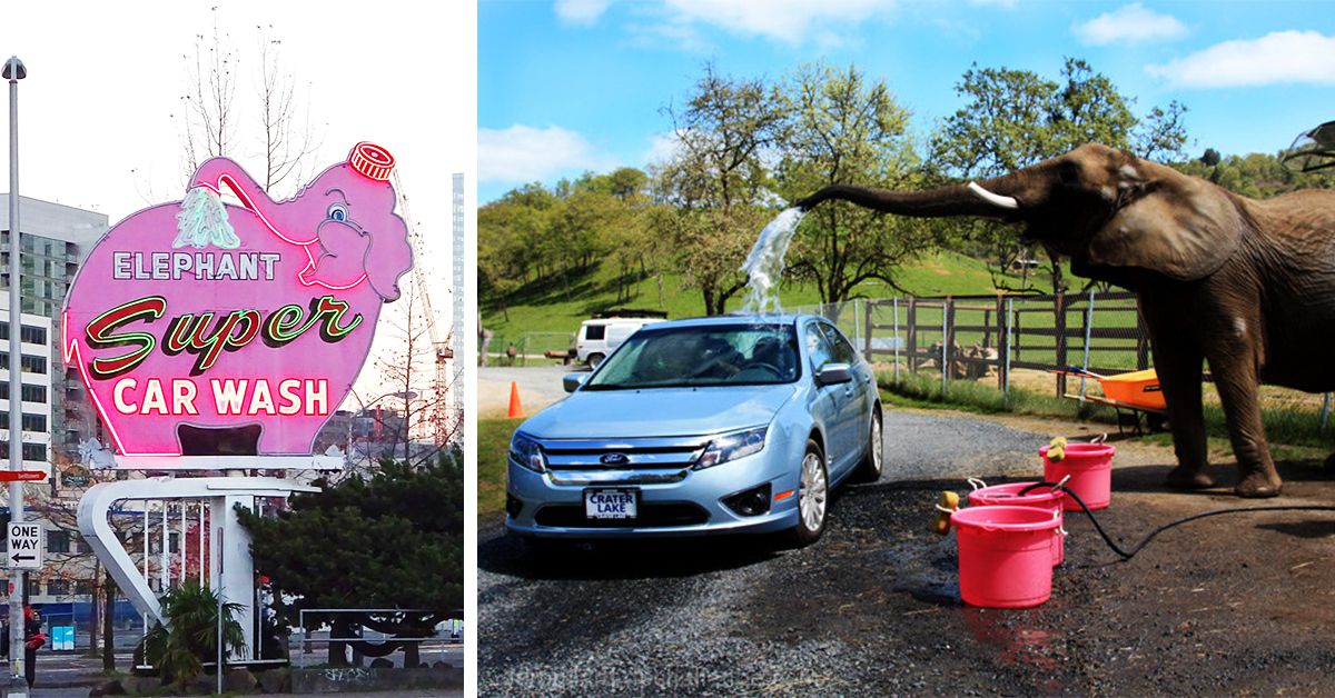 10 Weird Car Dealerships (And 8 Bizarre Car Washes)