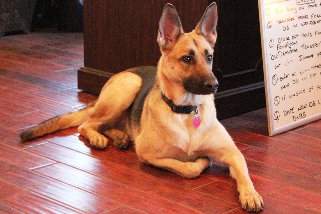 22 Things You Didn't Know About FantomWorks