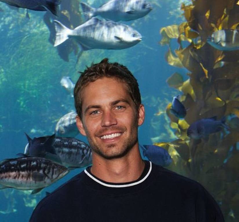 20 Things About Paul Walker We Didn't Know Until Now