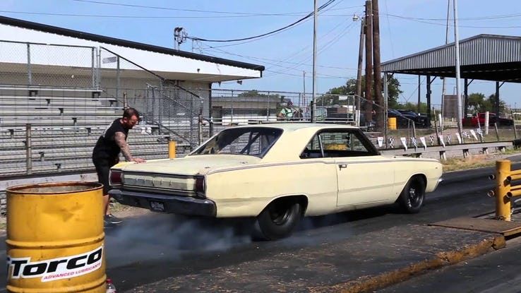 10 Reasons Why We Love Watching Roadkill