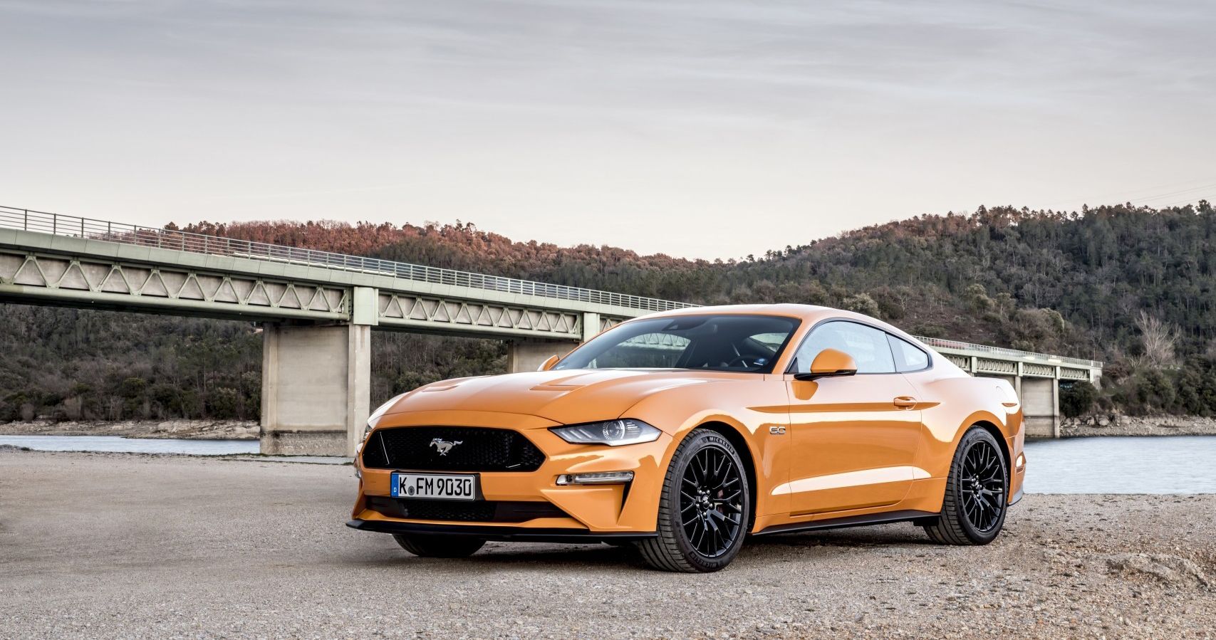 Ford Accidentally (?) Reveals New Mustang S650 For 2022