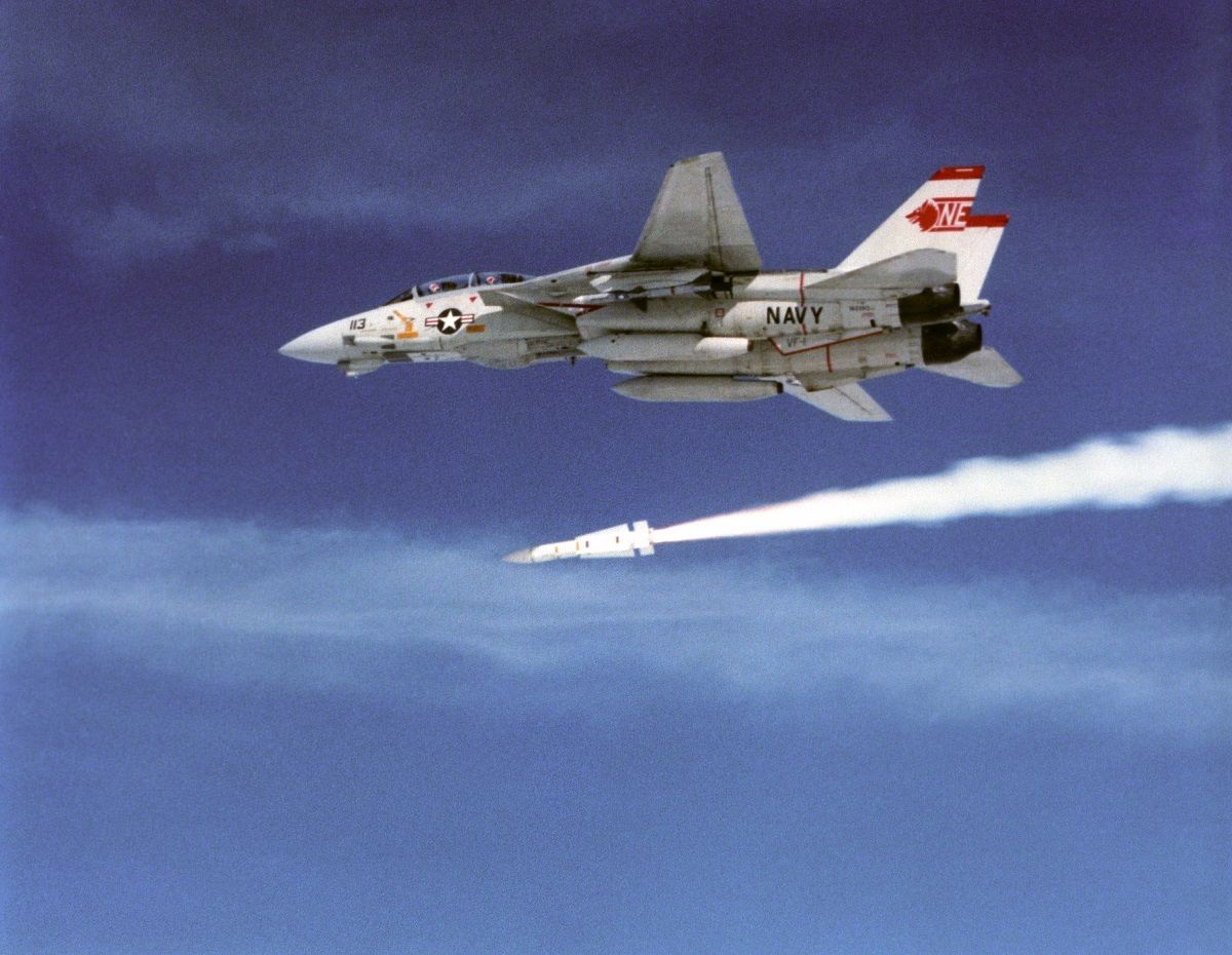15 Things You Didn't Know About The Grumman F-14 Tomcat
