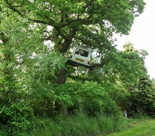 10 Absurd Photos Of Cars In Trees (5 Of Trees In Cars)