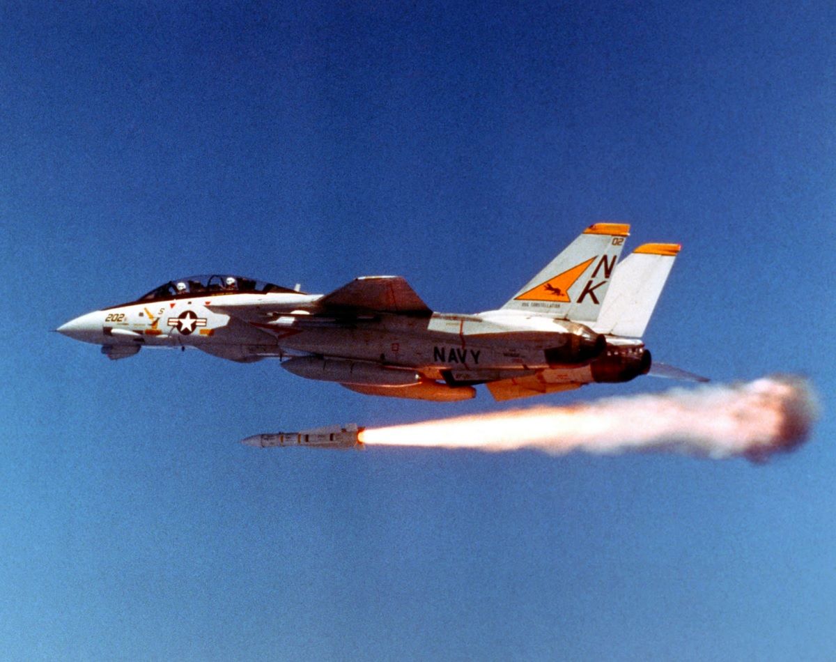 15 Things You Didn't Know About The Grumman F-14 Tomcat