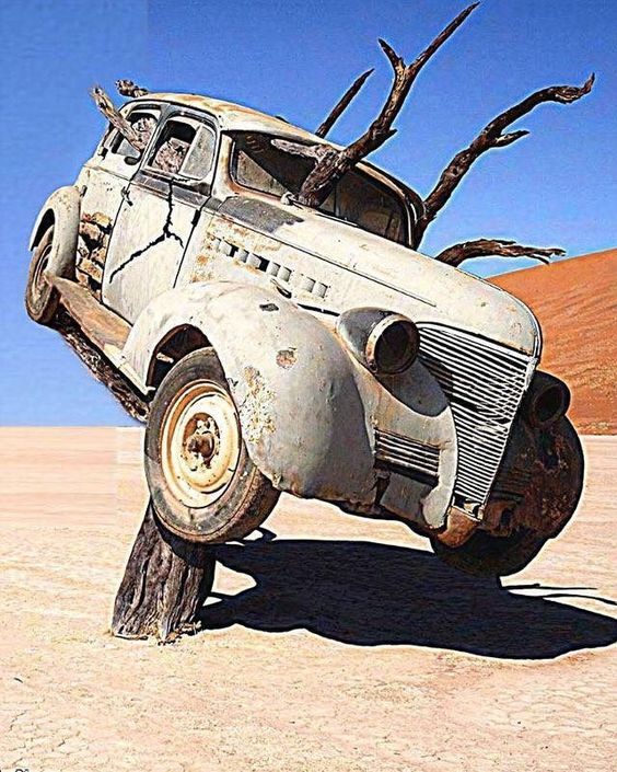 10 Absurd Photos Of Cars In Trees (5 Of Trees In Cars)