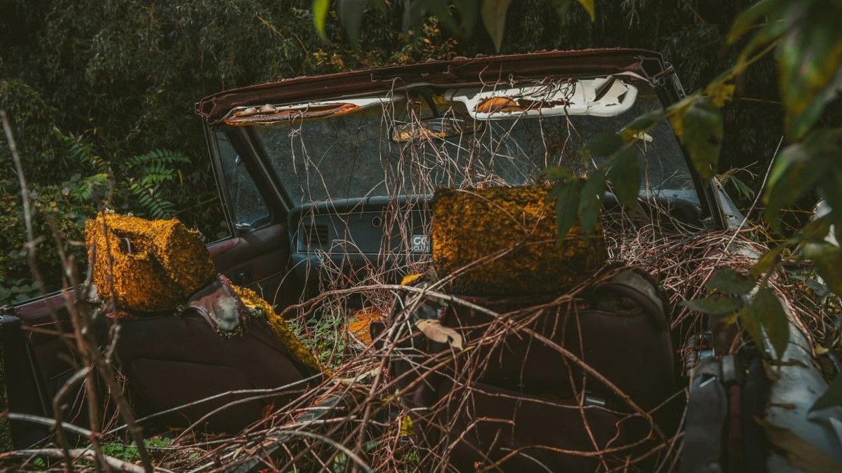 15 Fascinating Facts About Japan's Unbelievable Car Graveyard