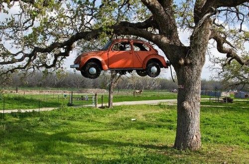 10 Absurd Photos Of Cars In Trees (5 Of Trees In Cars)