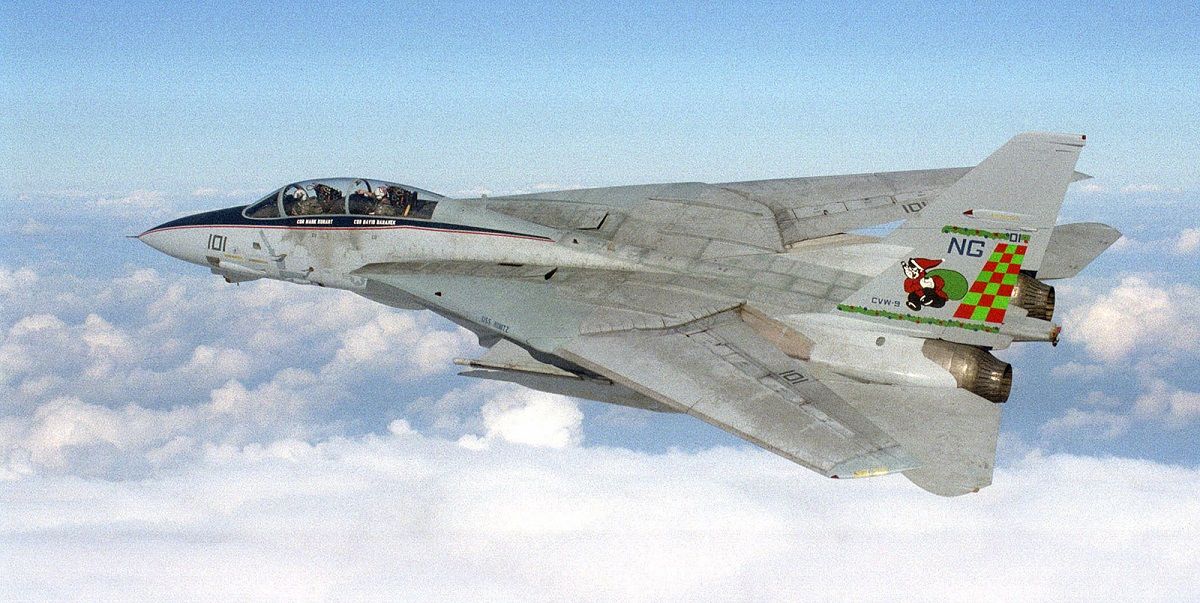 15 Things You Didn't Know About The Grumman F-14 Tomcat