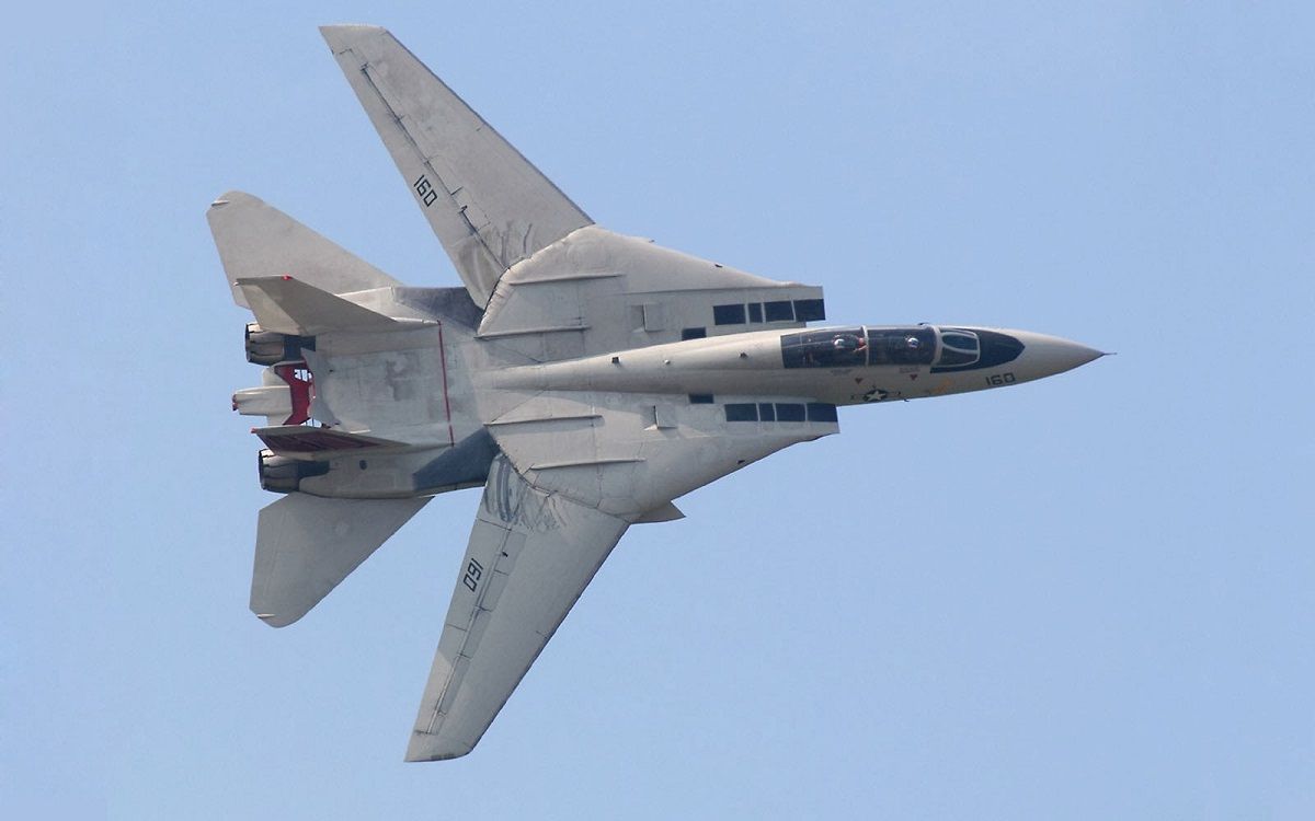 15 Things You Didn't Know About The Grumman F-14 Tomcat