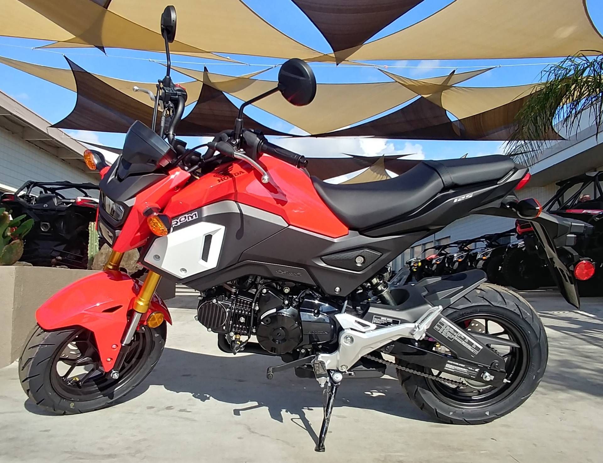 The Honda Grom Motorcycle In Full Focus: Perfect For New Riders