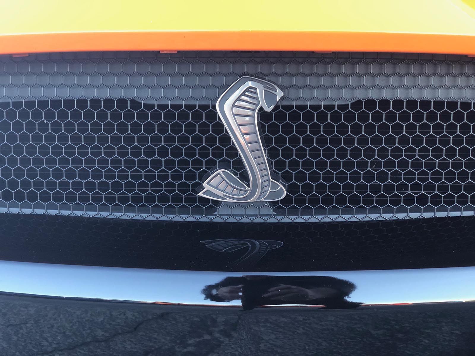 8 Reasons Why We Want The New Corvette (And 8 Reasons Why The Shelby ...