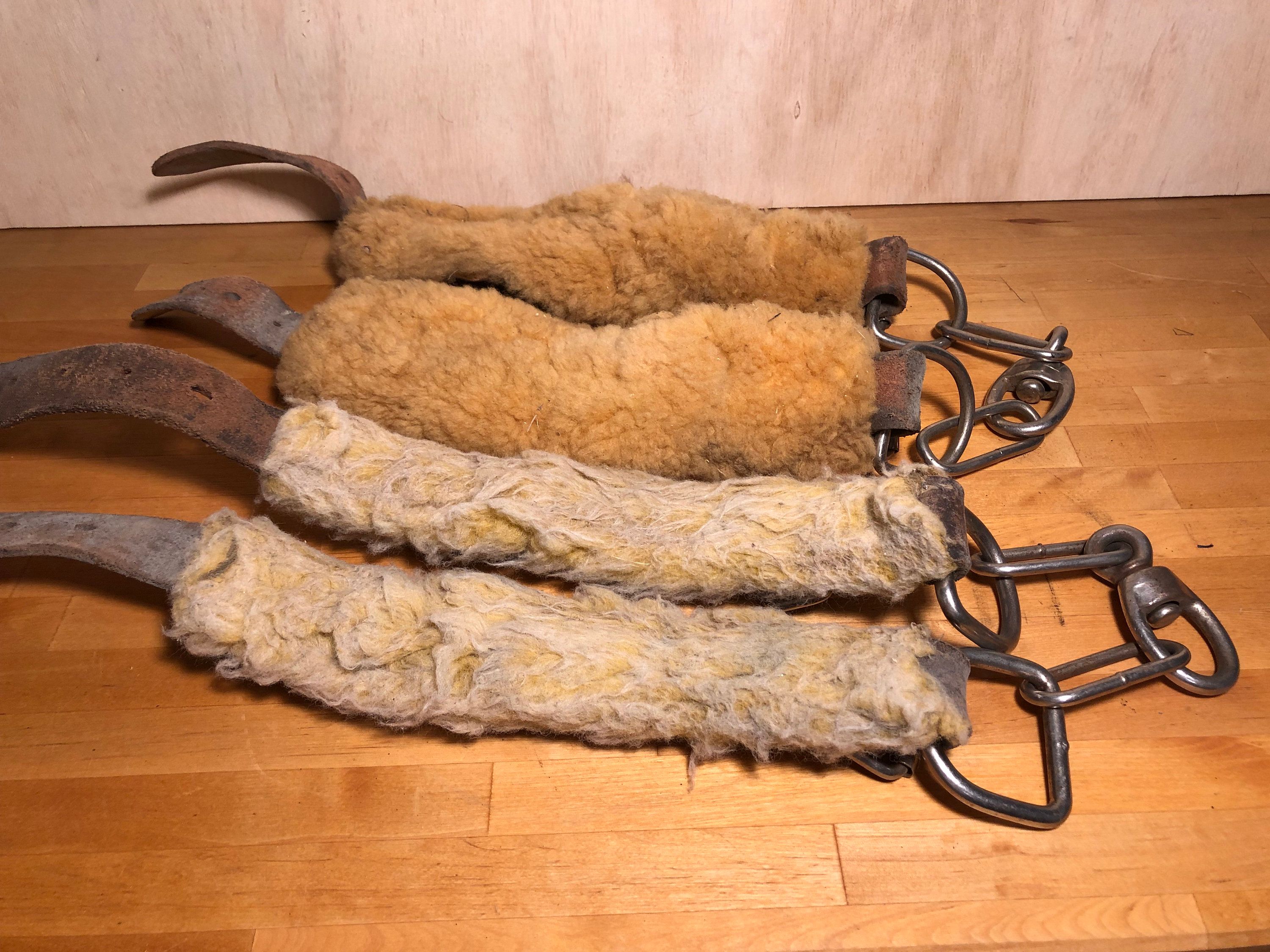 15 Things You Didn't Know About The Cossacks Motorcycle Club