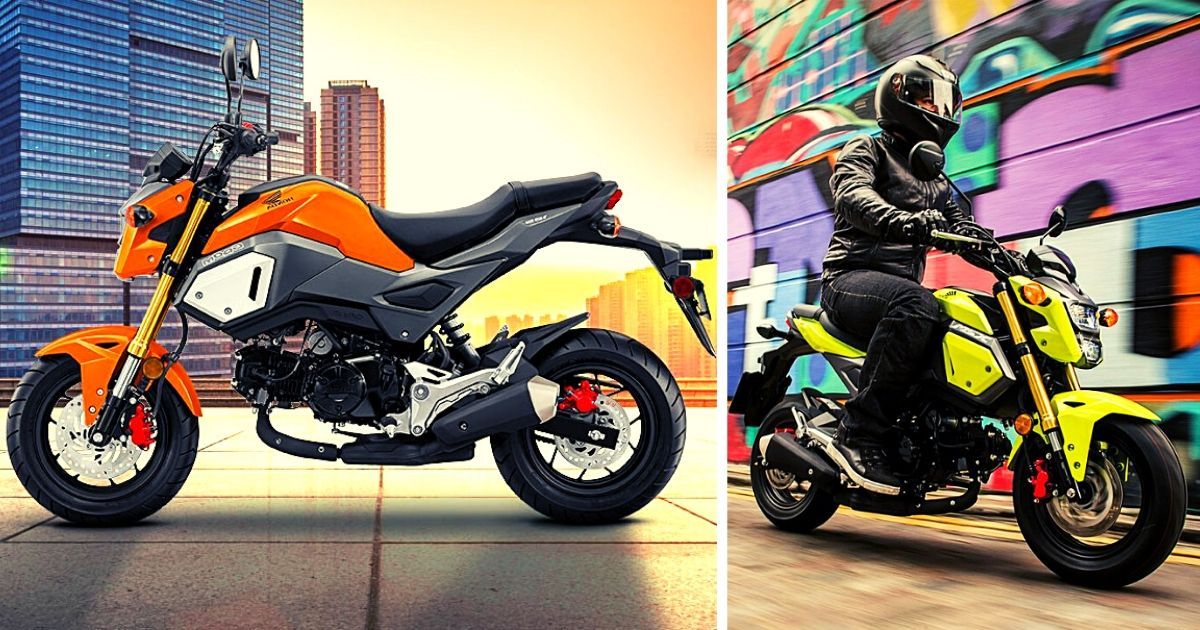 The Honda Grom Motorcycle In Full Focus: Perfect For New Riders