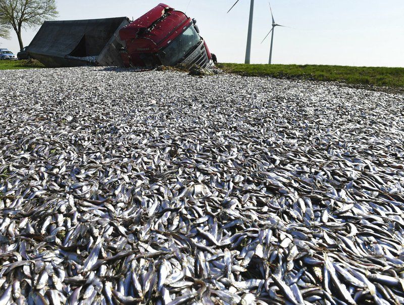 15 Photos Of Weird And Ridiculous Semi Truck Spills