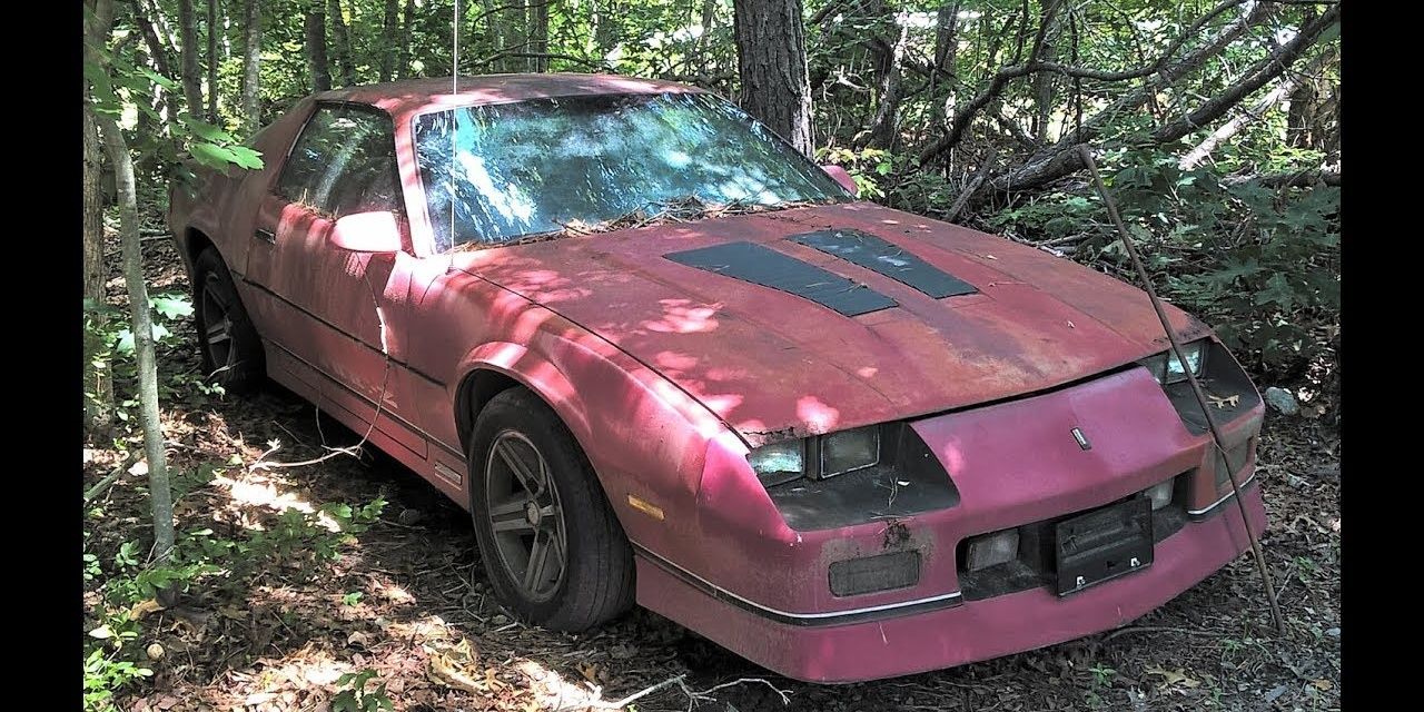 People Found These Camaros Abandoned