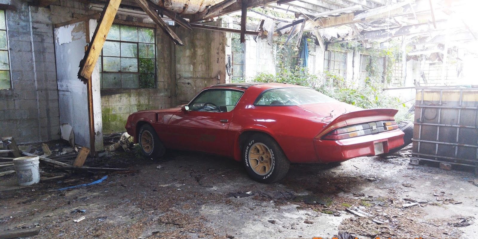 People Found These Camaros Abandoned