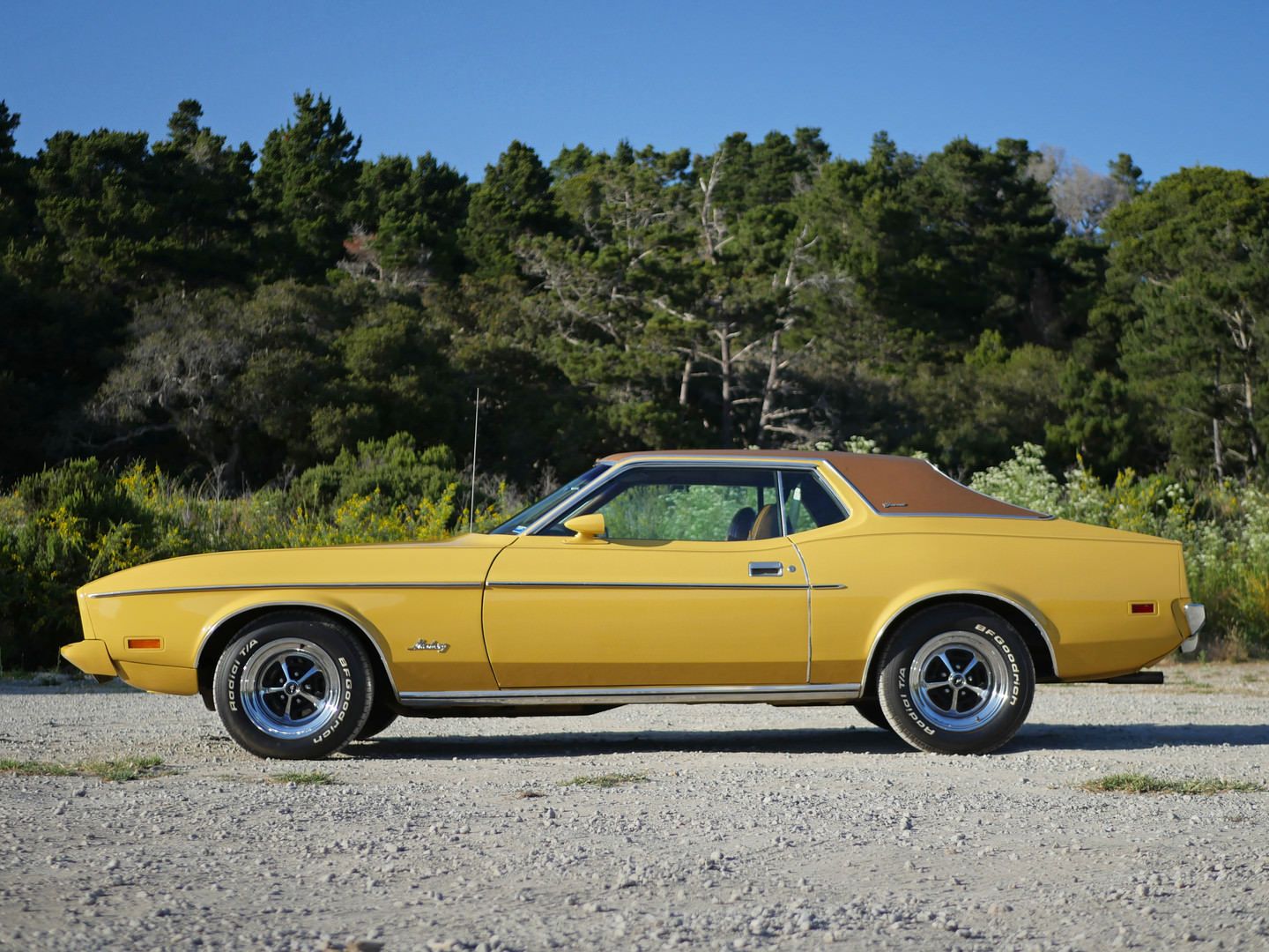 Here's What Was So Special About The Ford Mustang Grande