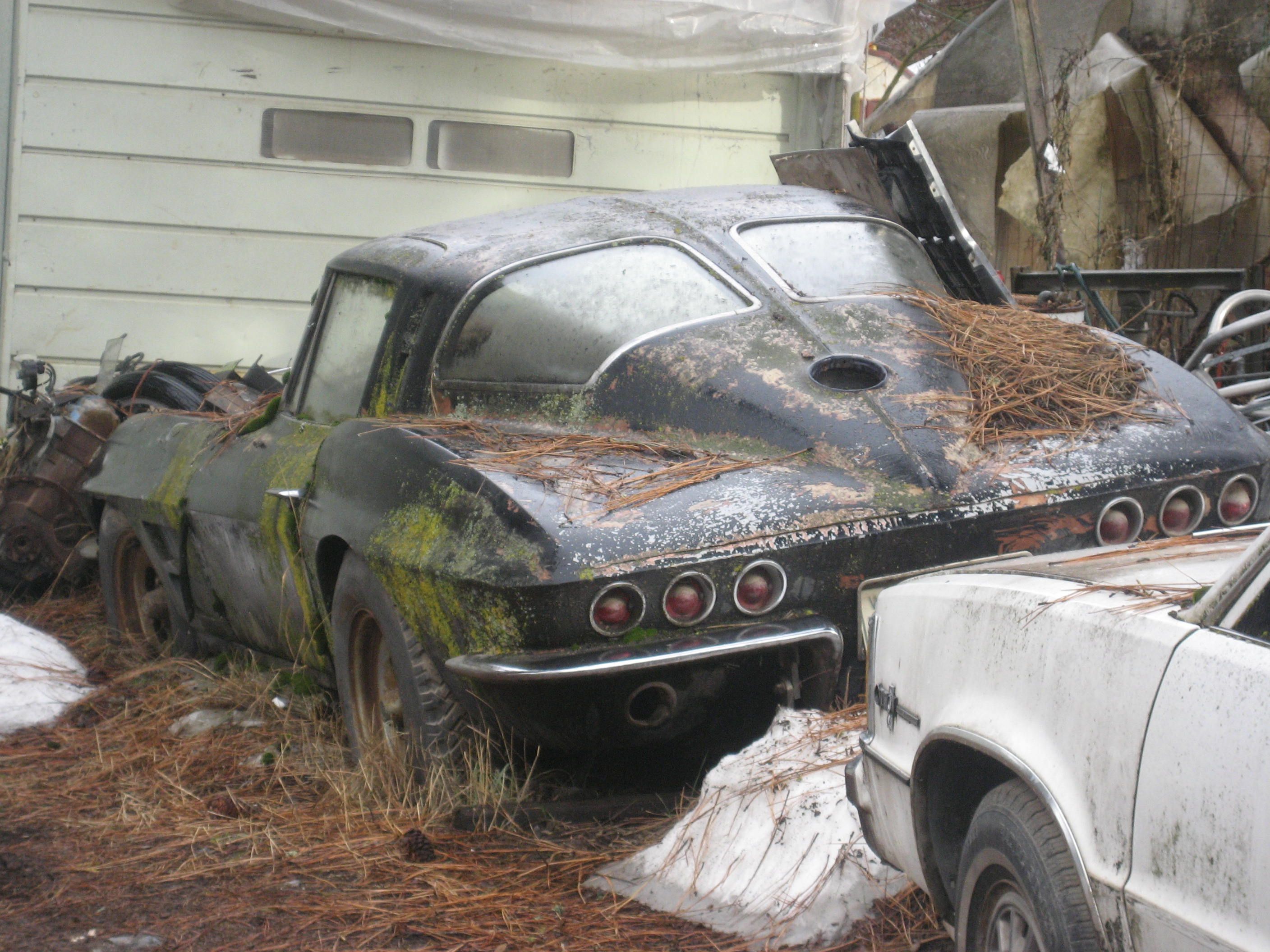 Here Are Some Infuriating Photos Of Perfect American Muscle Cars ...