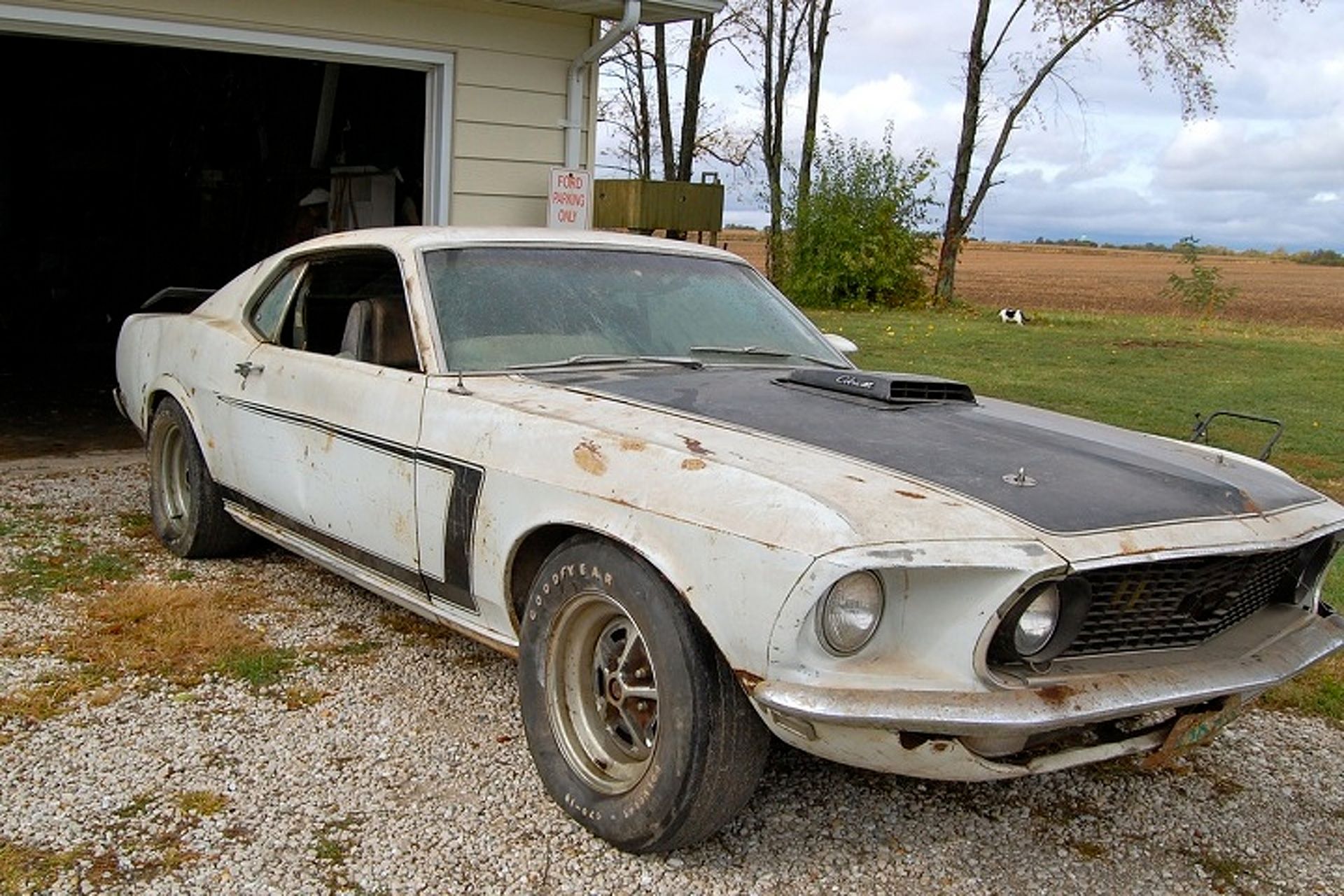 Here Are Some Infuriating Photos Of Perfect American Muscle Cars ...