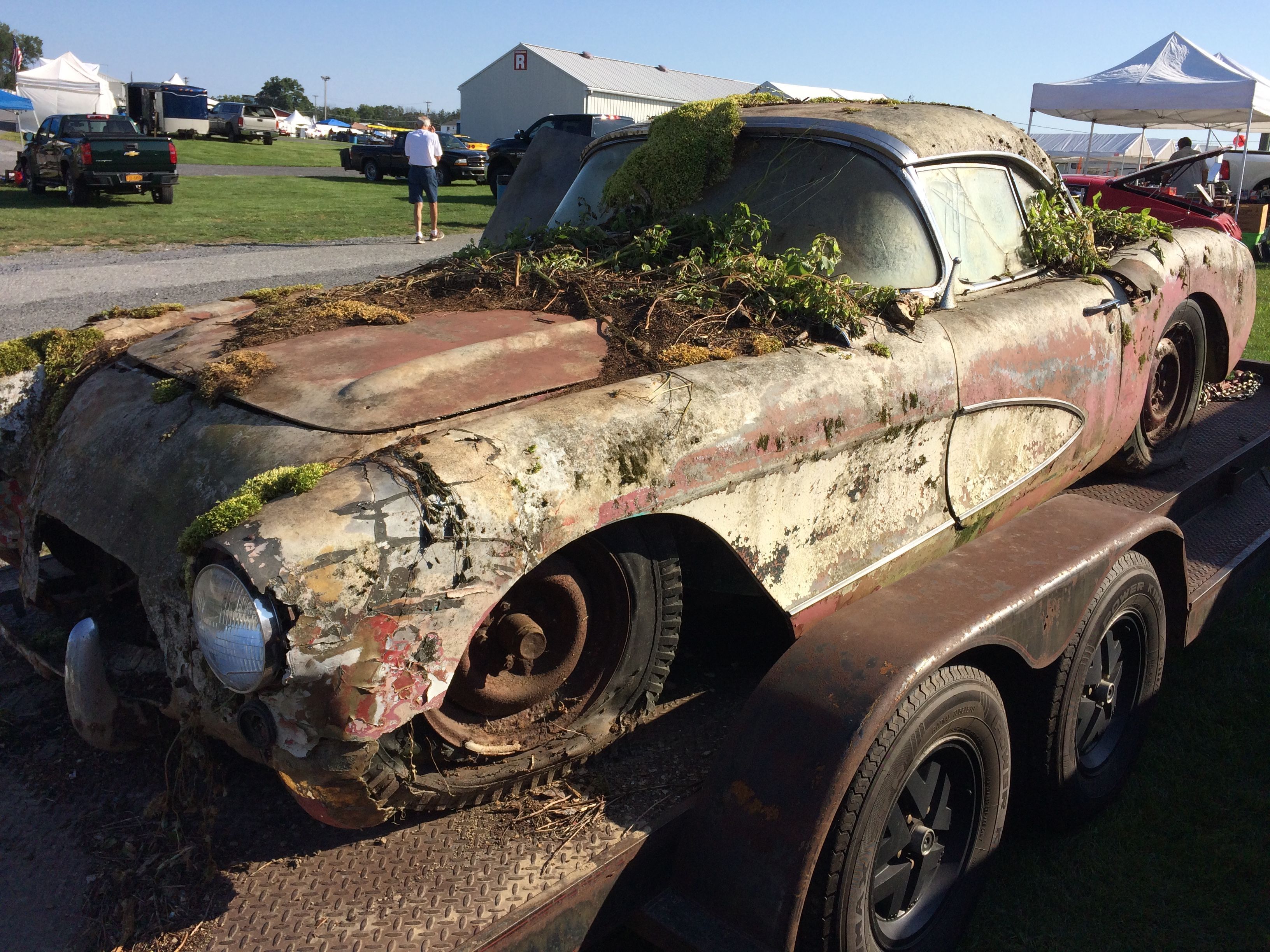 Here Are Some Infuriating Photos Of Perfect American Muscle Cars ...