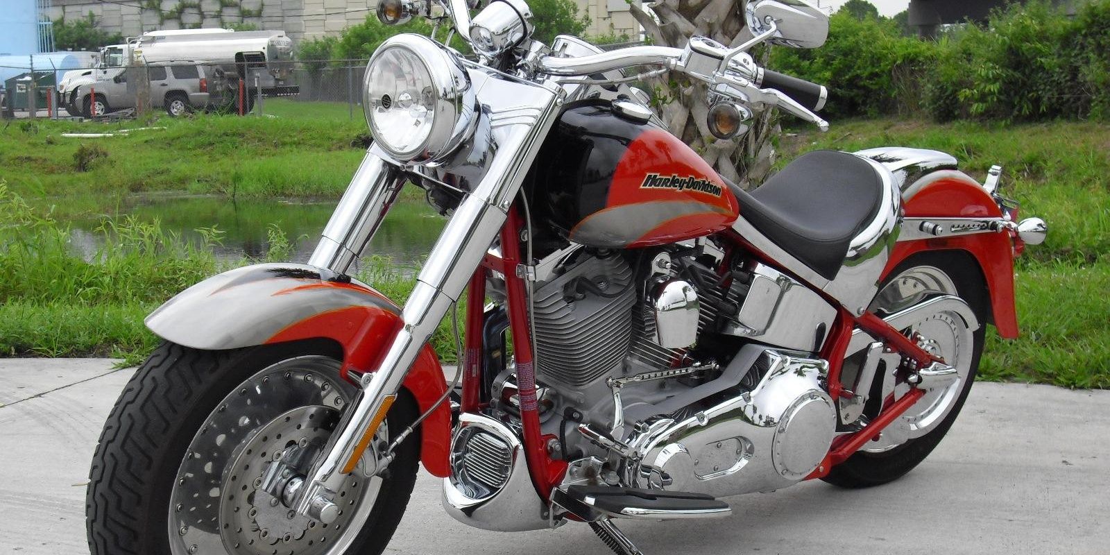 Wild Hogs Harley Davidson Screamin Eagle Harley Davidson Hog Stickers