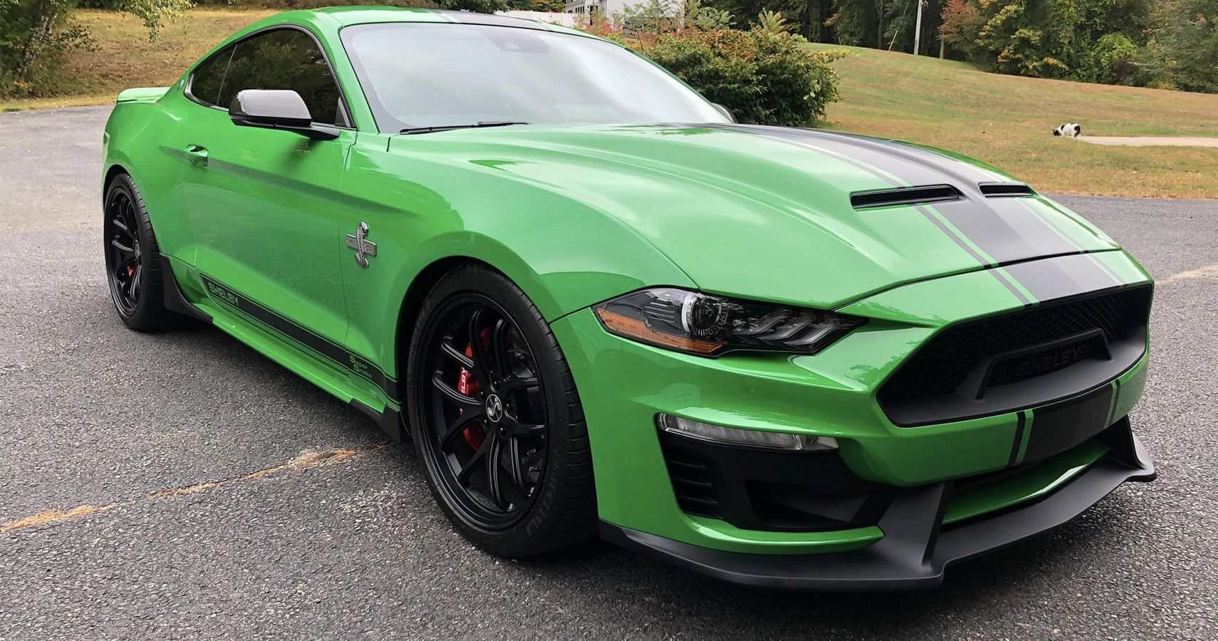New GT500 Not Enough For You? Bid On This Mean 800-Mile 2019 Shelby ...