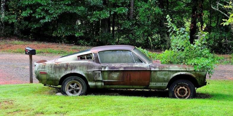 We Can't Look At These Sad Pics Of Race Cars Left To Rot