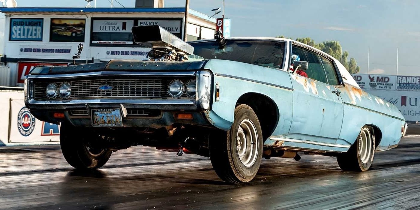 10 Reasons Why We Love Watching Roadkill