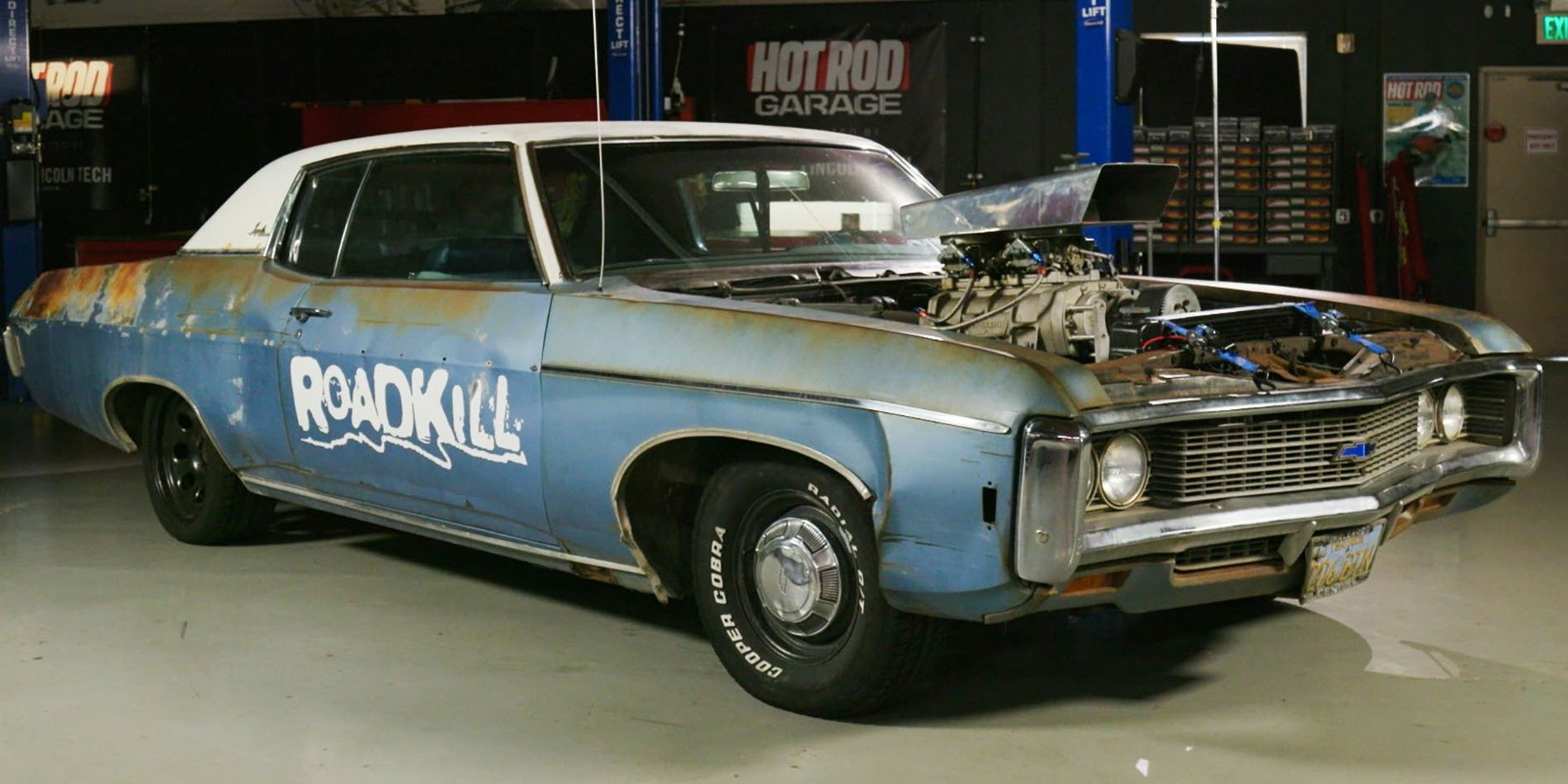 10 Reasons Why We Love Watching Roadkill