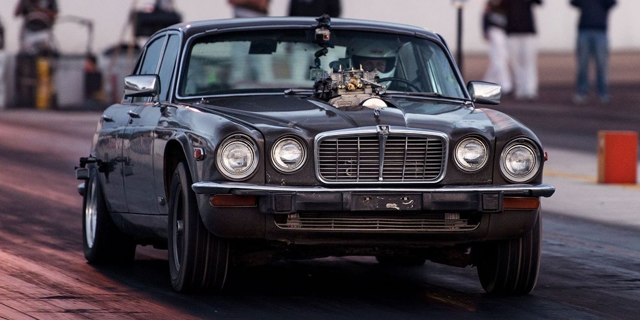 10 Reasons Why We Love Watching Roadkill