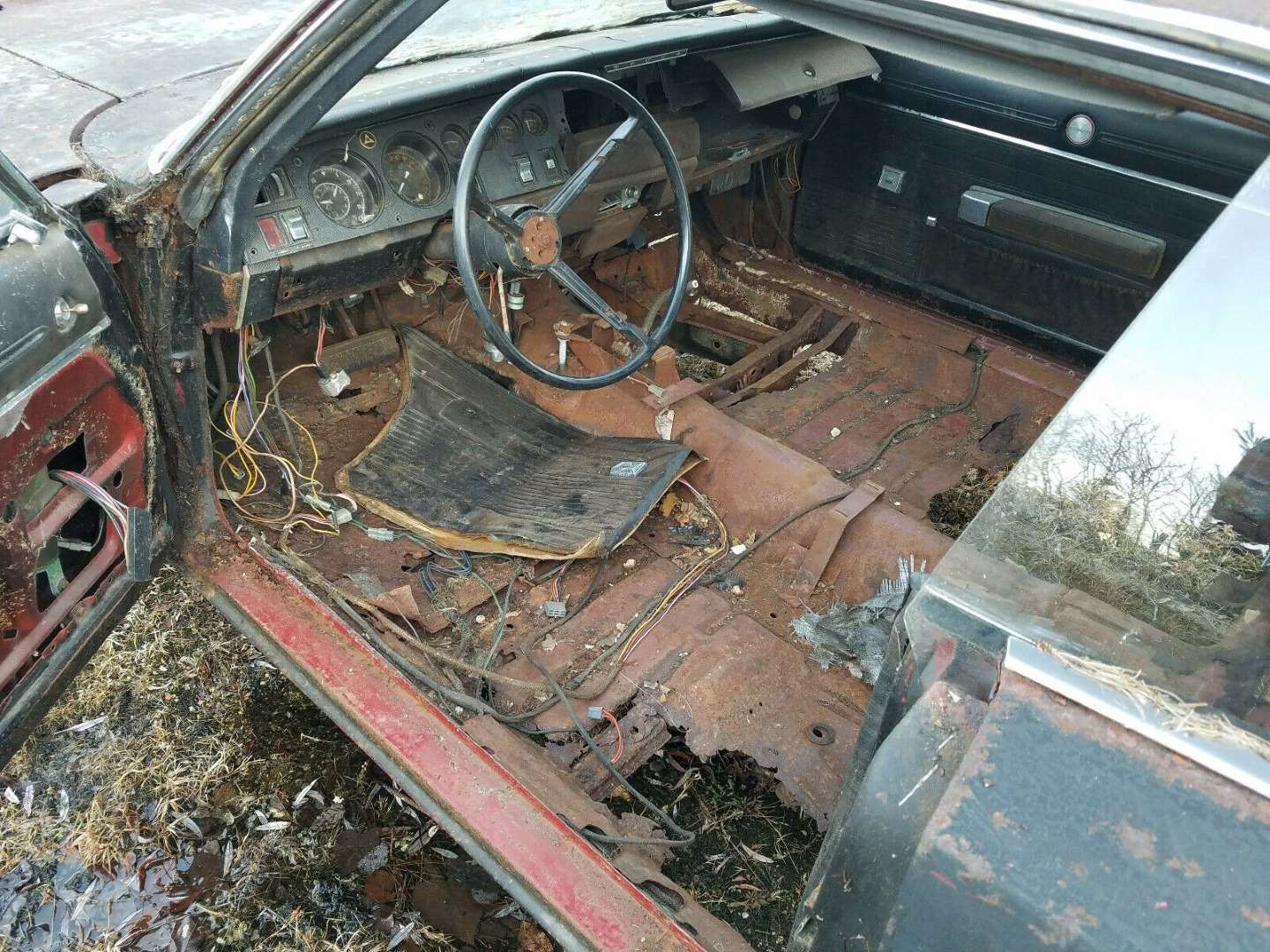 These Classic Sports Cars Were Sacrificed To The Rust Gods, They're ...