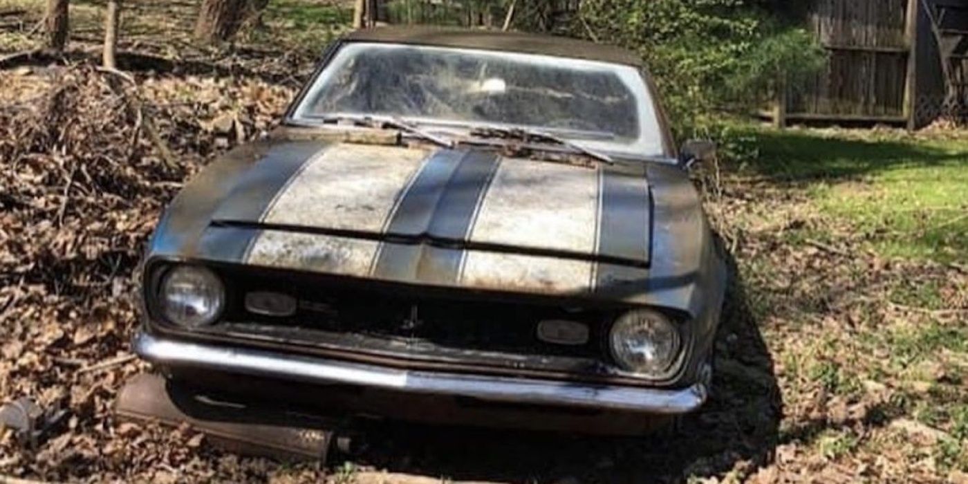 These Abandoned Cars Have Since Been Restored To Their Former Glory