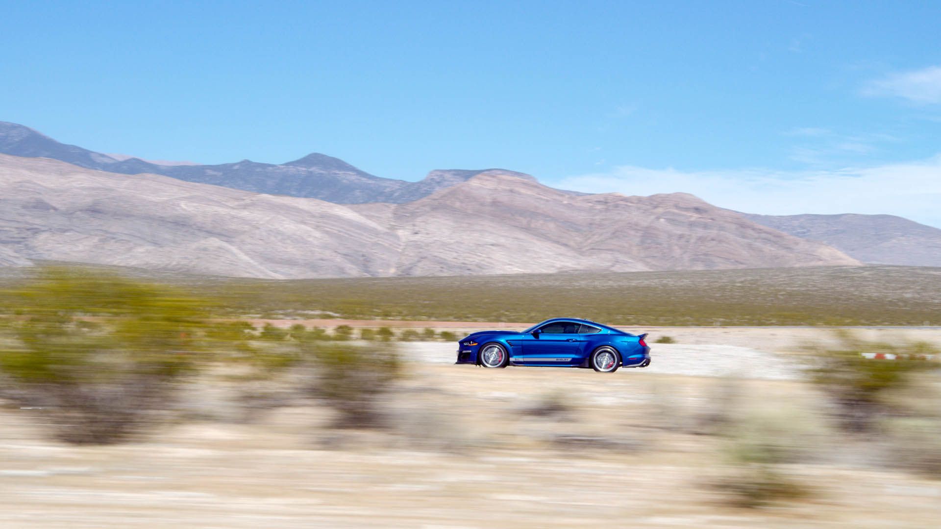 2021 Ford Shelby Super Snake: Here's What We Know