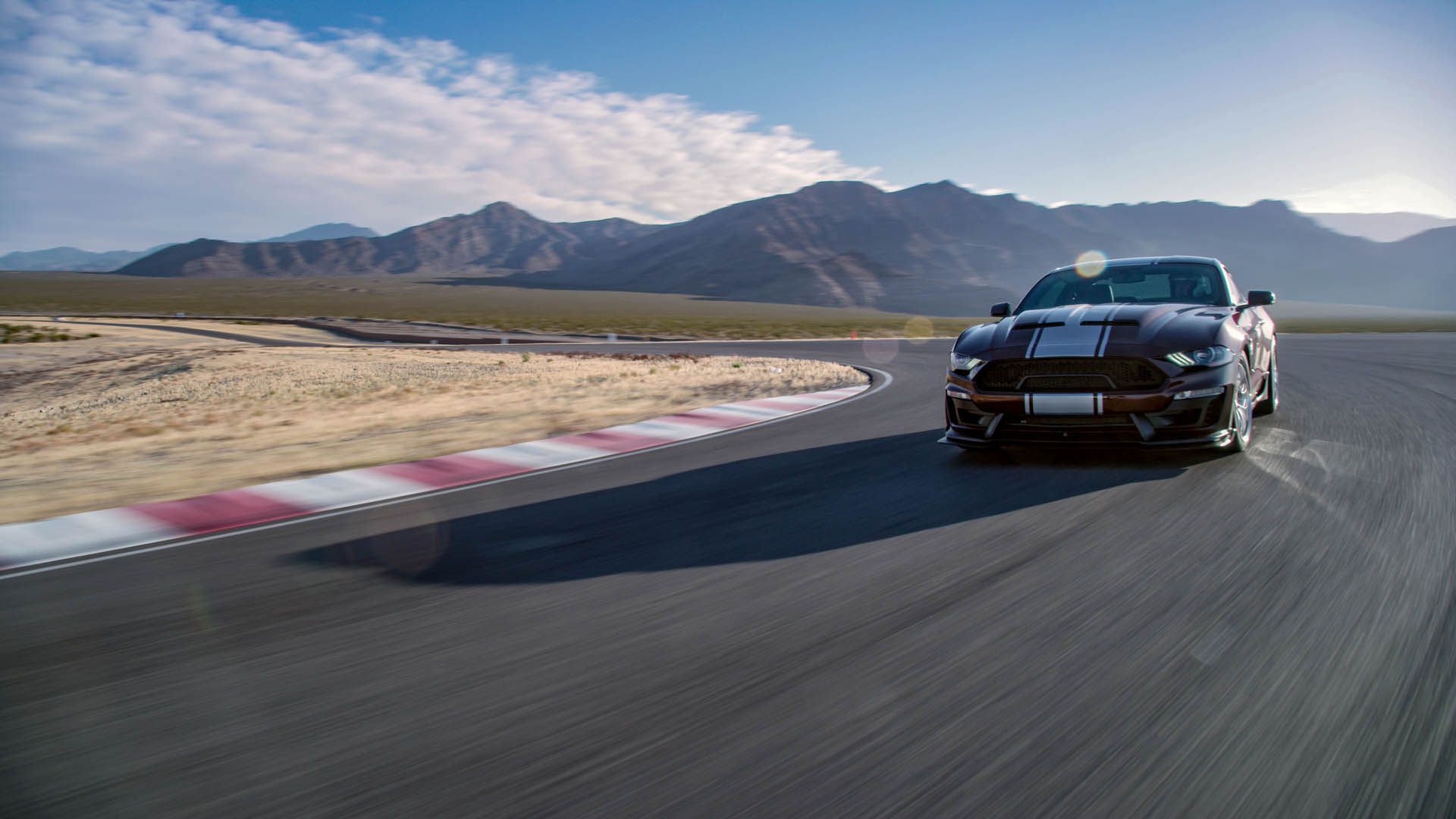 2021 Ford Shelby Super Snake: Here's What We Know