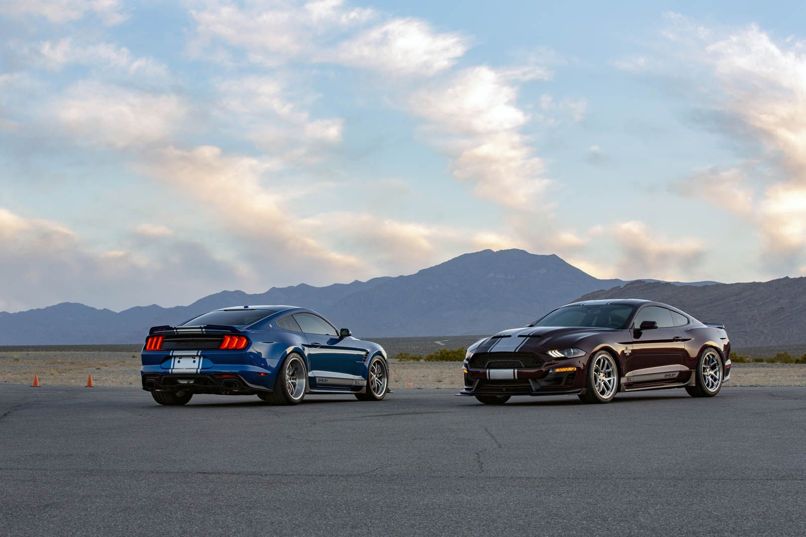 2021 Ford Shelby Super Snake: Here's What We Know