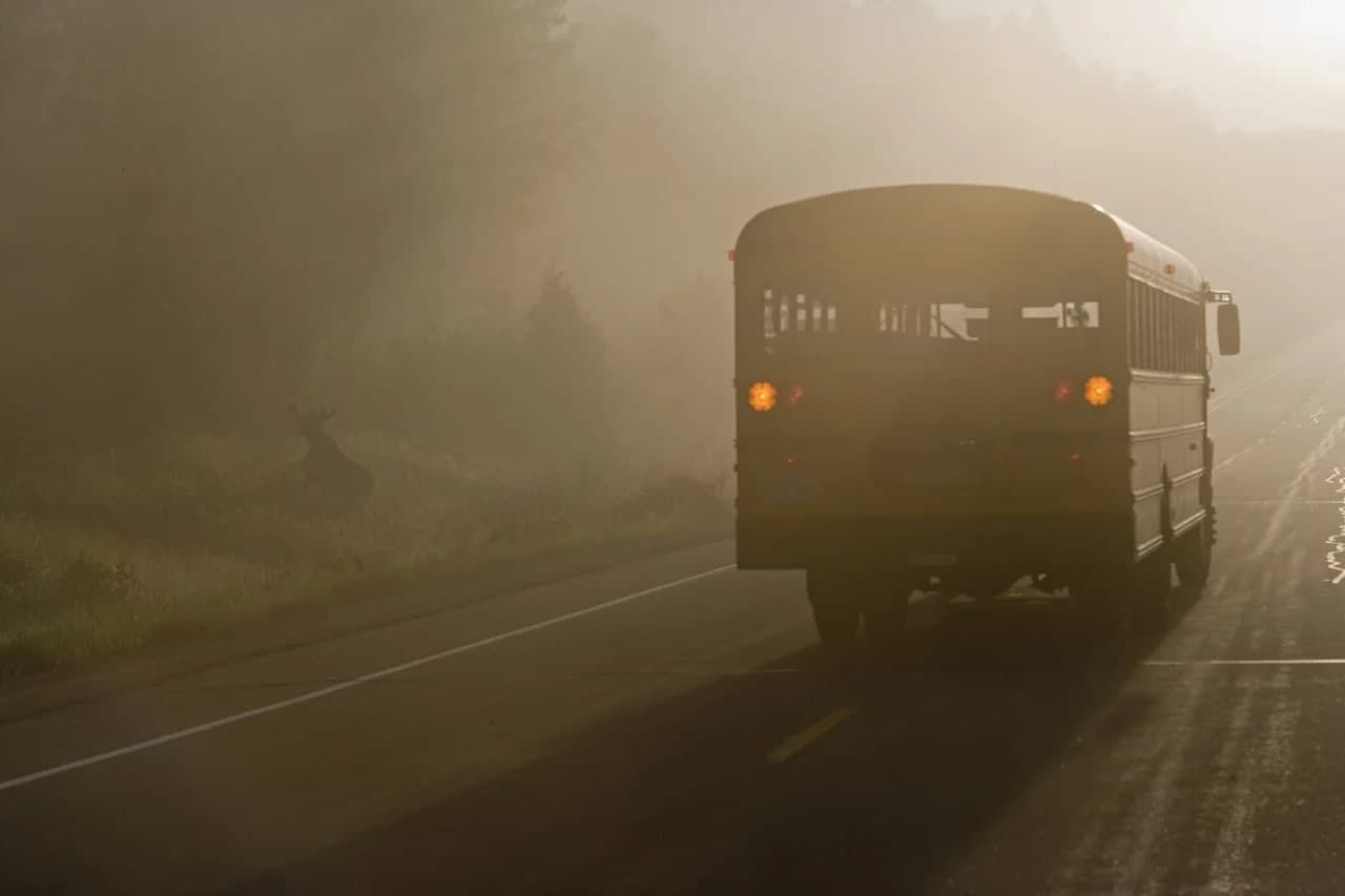 Haunted Roads: The Story Of London's Number 7 Phantom Bus
