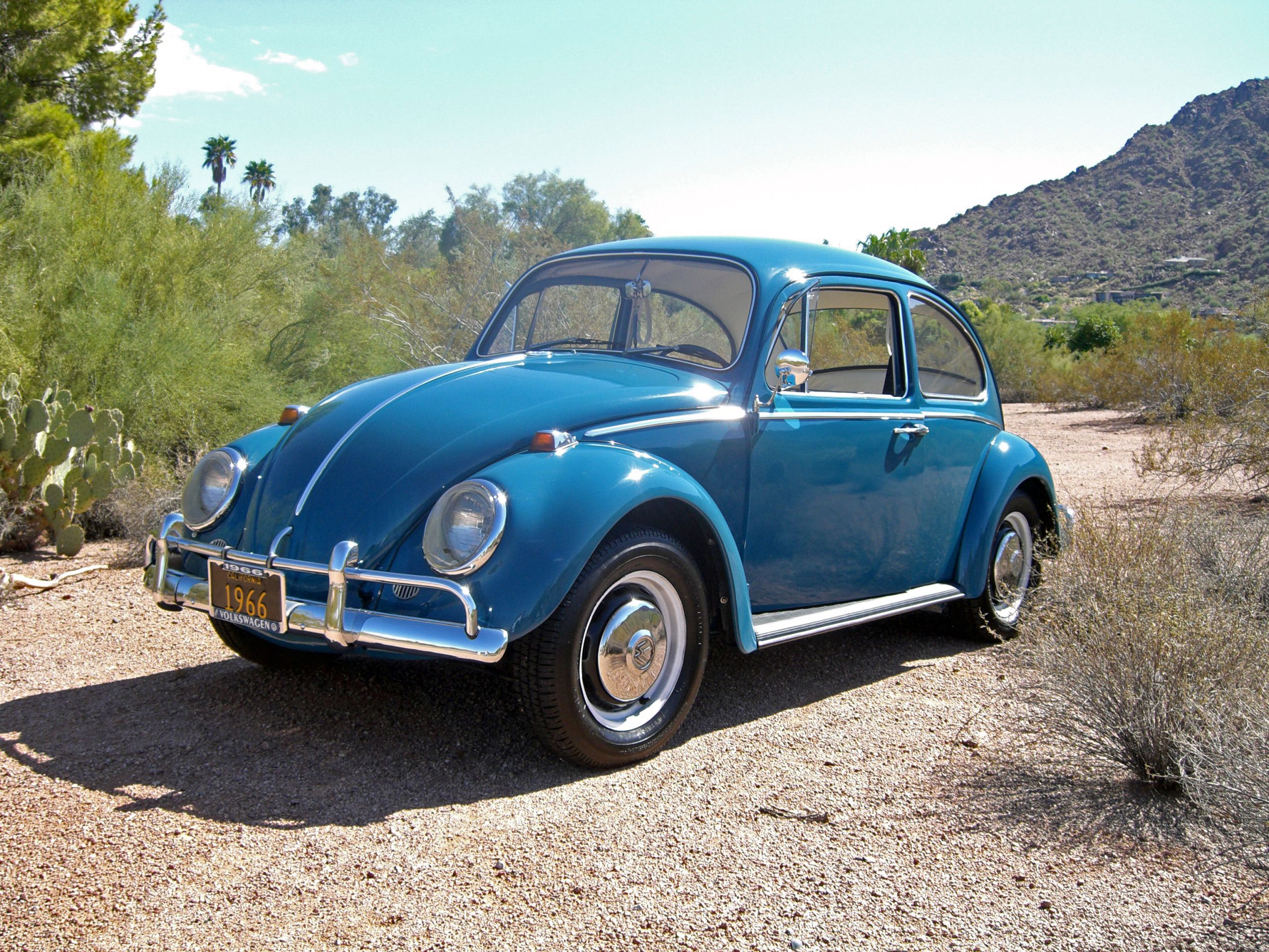 Everything You Need To Know About The VW Beetle