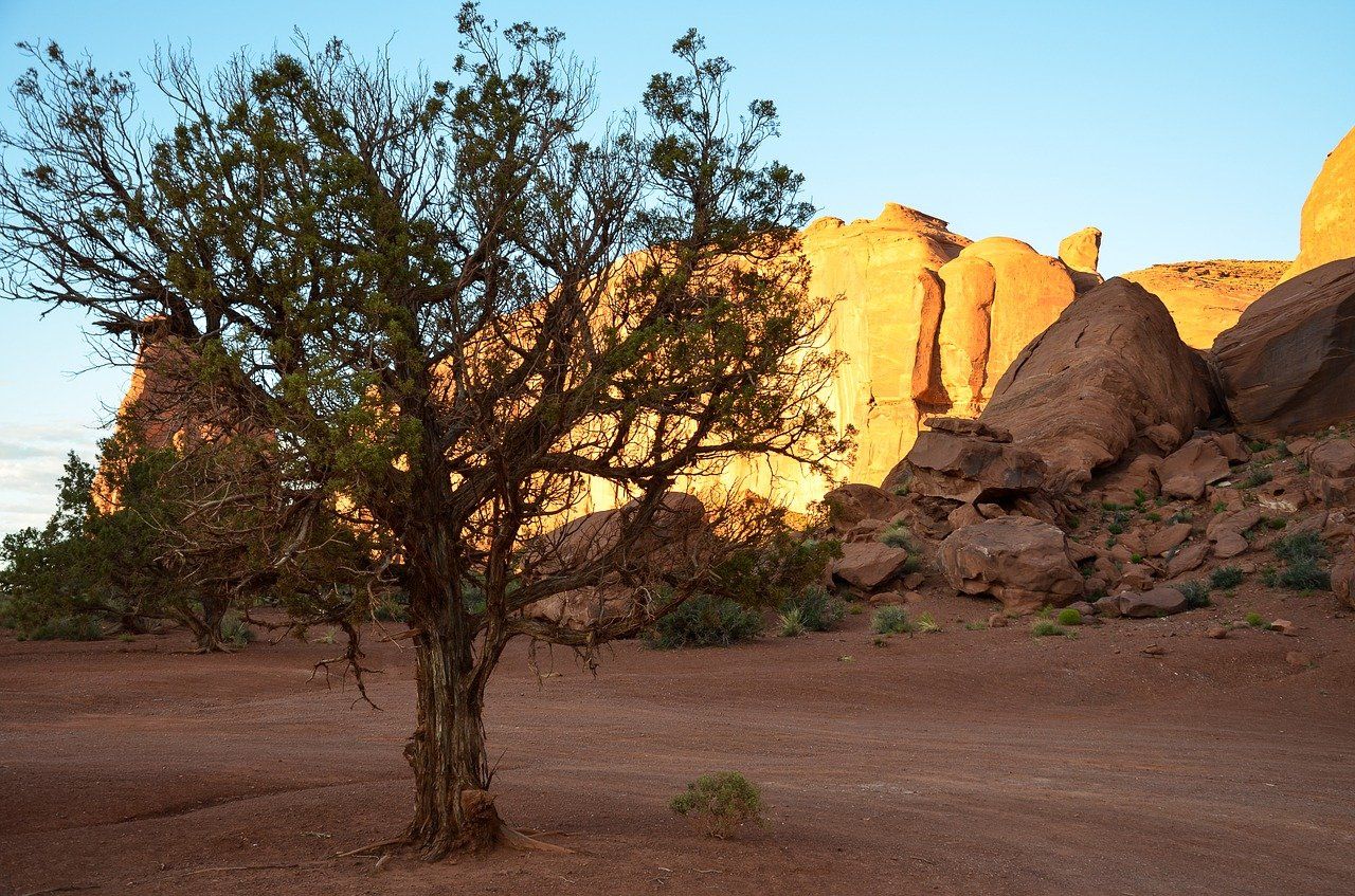 These Are The Reasons Why North America Is Perfect For Road-Trips