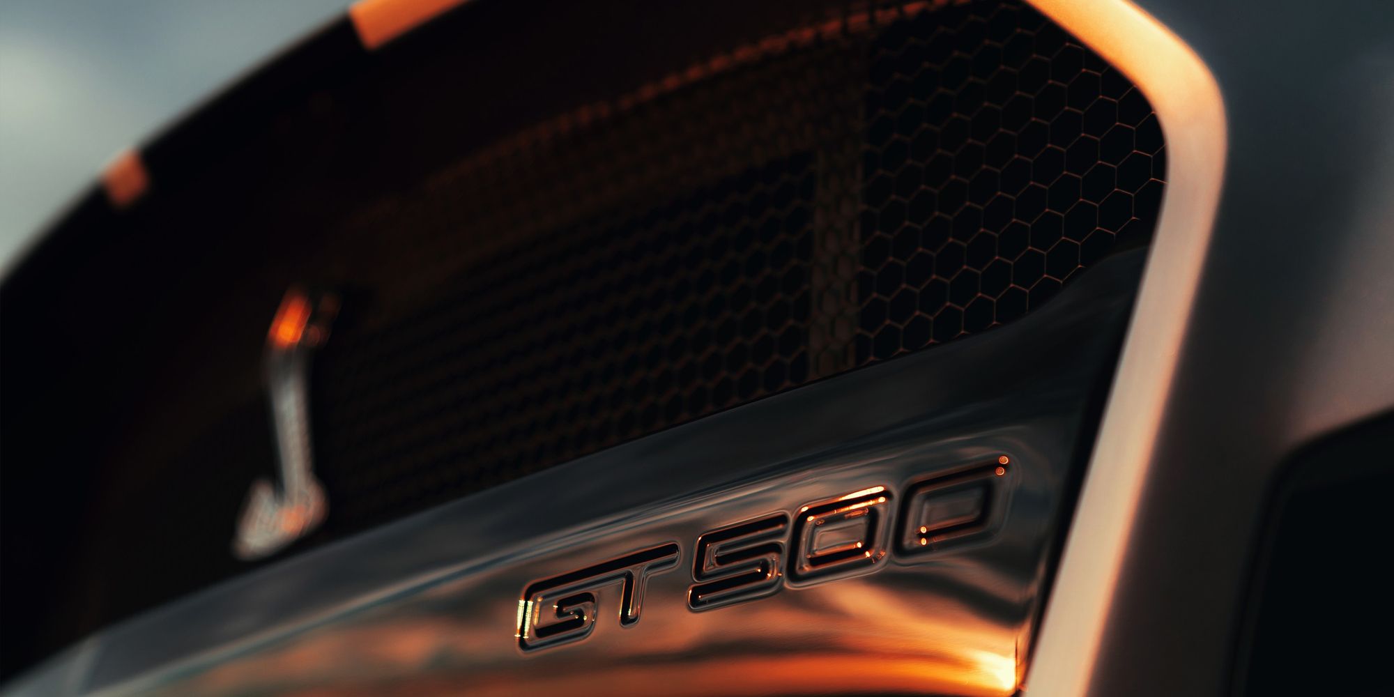 Logotipo Del Mustang Shelby Gt500 2020 Ford Mustang Shelby GT500