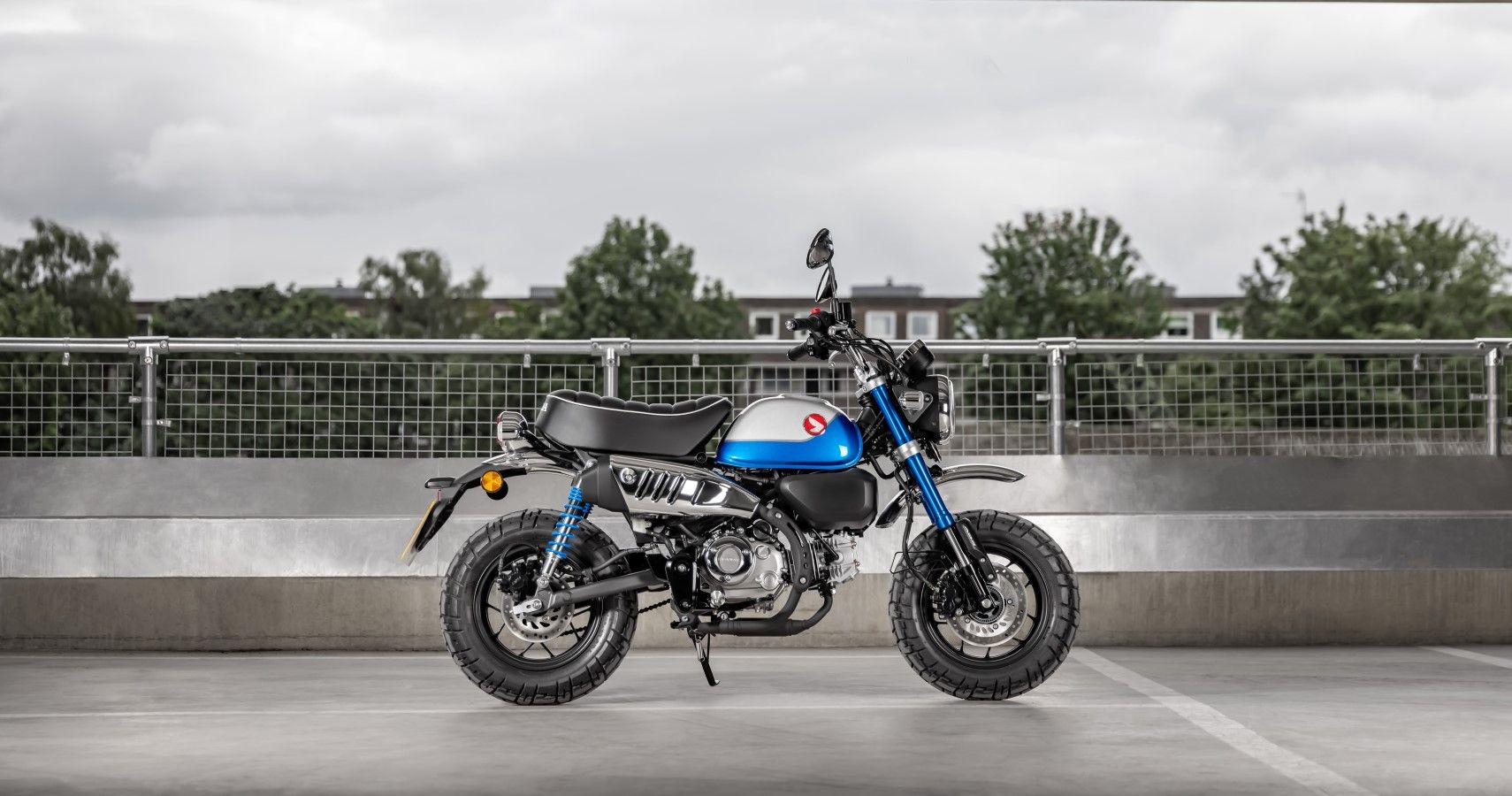 Here's What We Love About The 2022 Honda Monkey